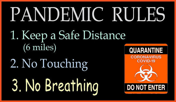 Pandemic Rules 3 - Art Print – classicballpark.com